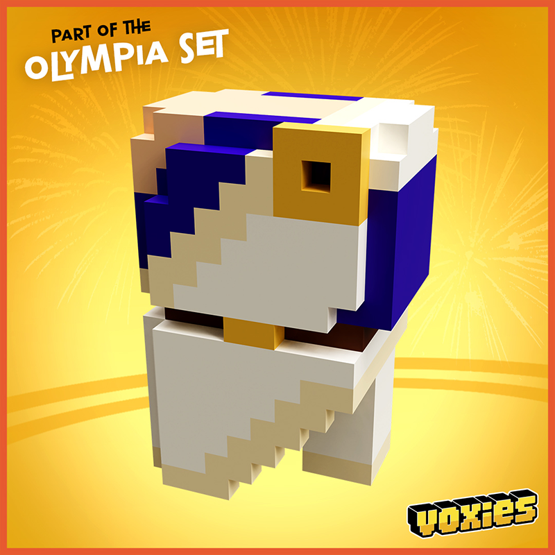 Voxies Marketplace - Arcane Wrap Details